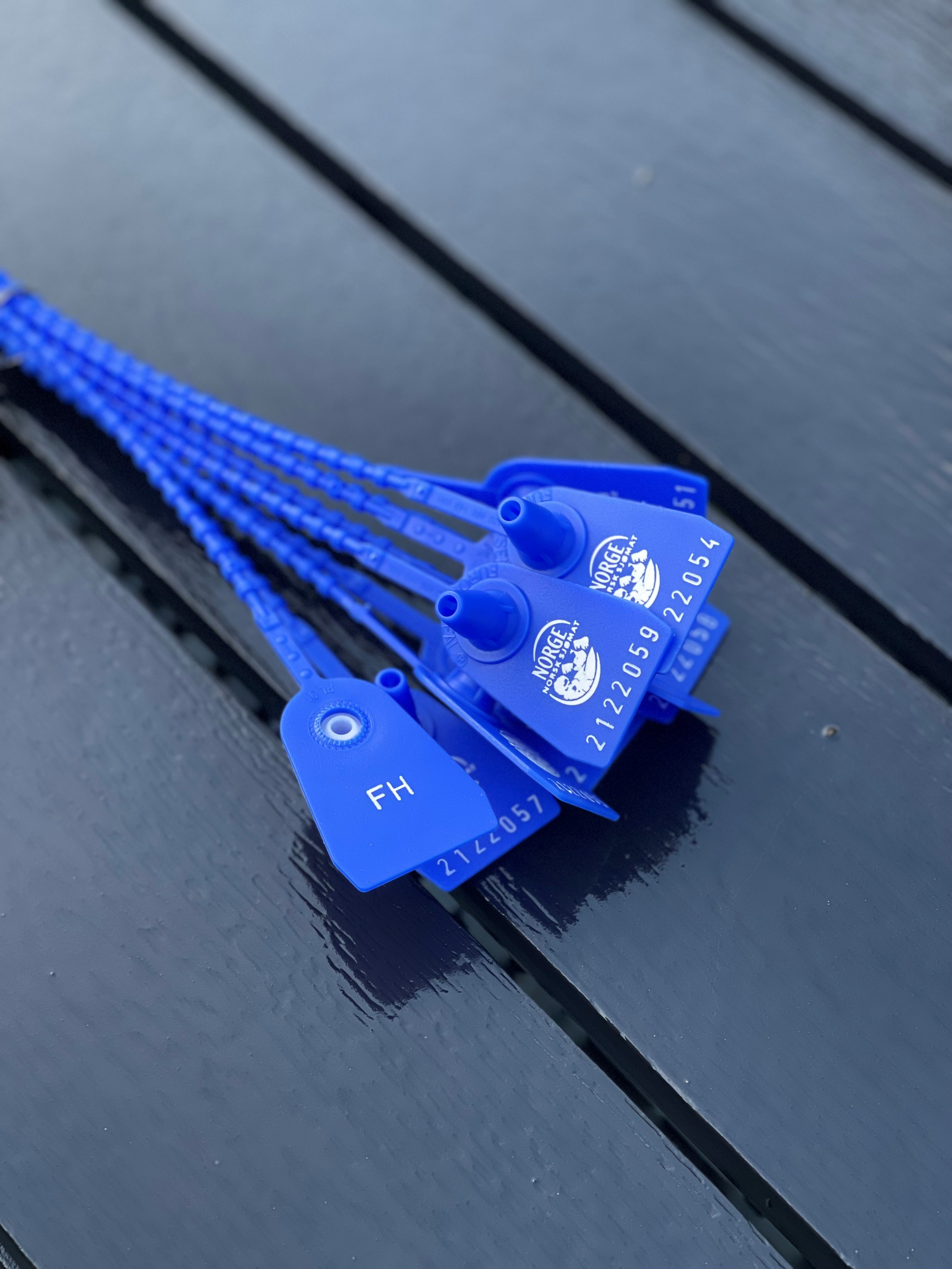 Fiskehav - 12/2024 - Omsetningsbestemmelser hummer 2024